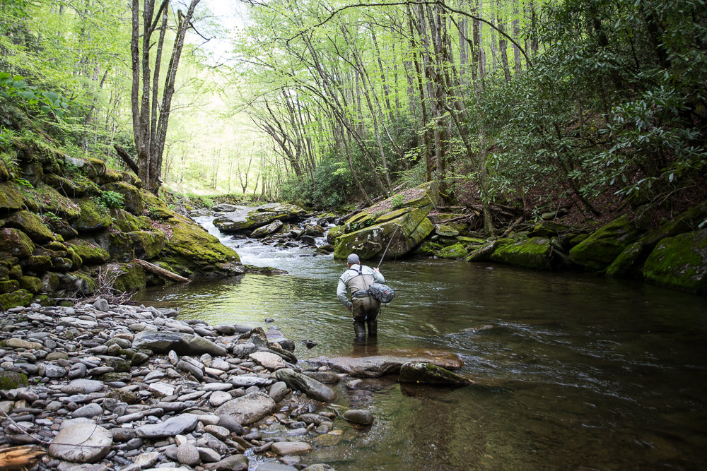 Guided Fly Fishing Trips – Brookings Anglers