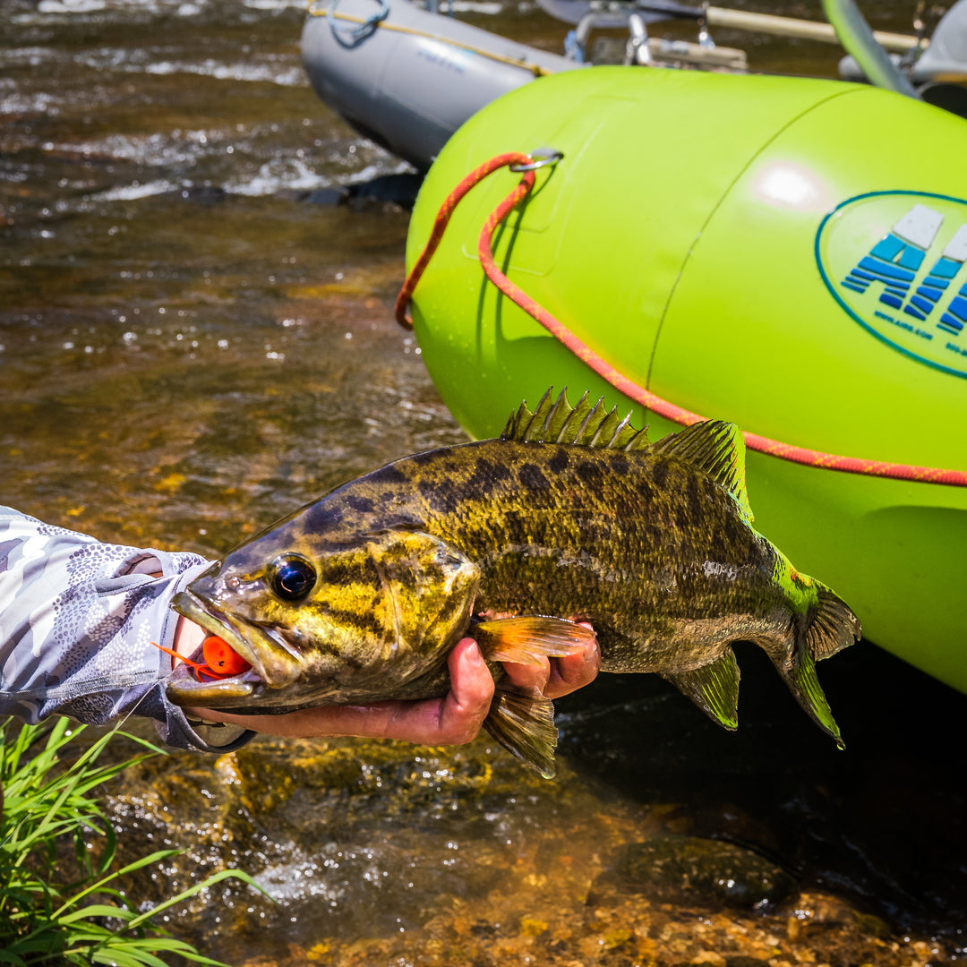 Guided Fly Fishing Trips – Brookings Anglers